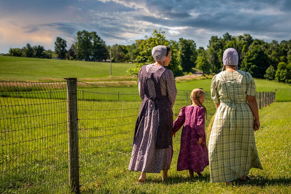 Family Laneway Stroll
