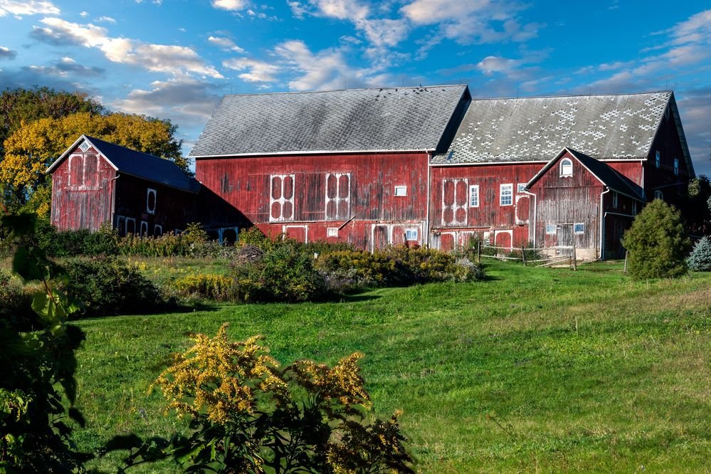 Stiner's Barn
