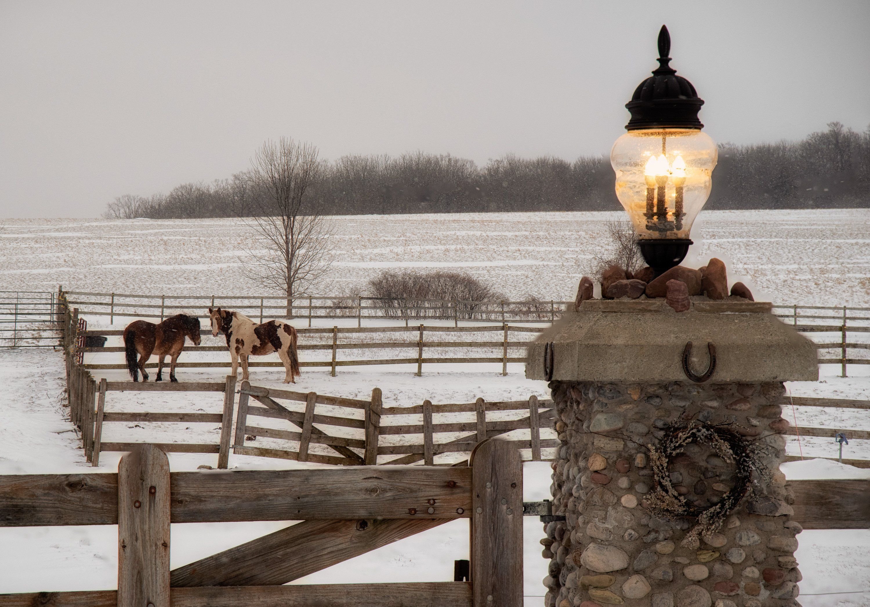 Welcome Farm Light